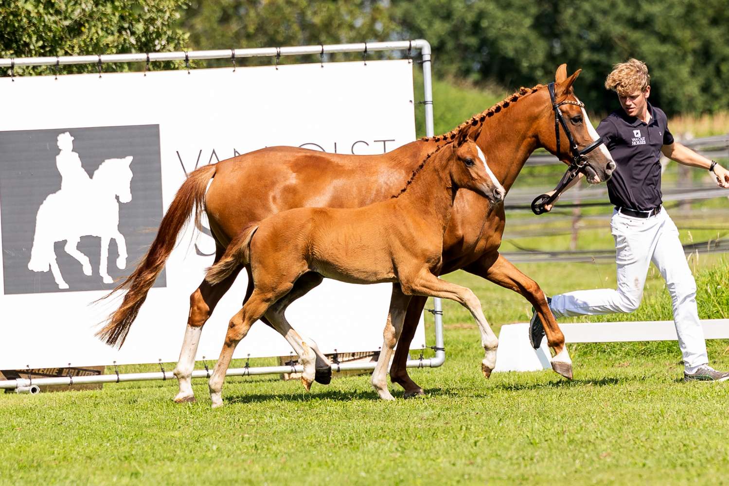 Van Olst Sales | Ultrarette MCB