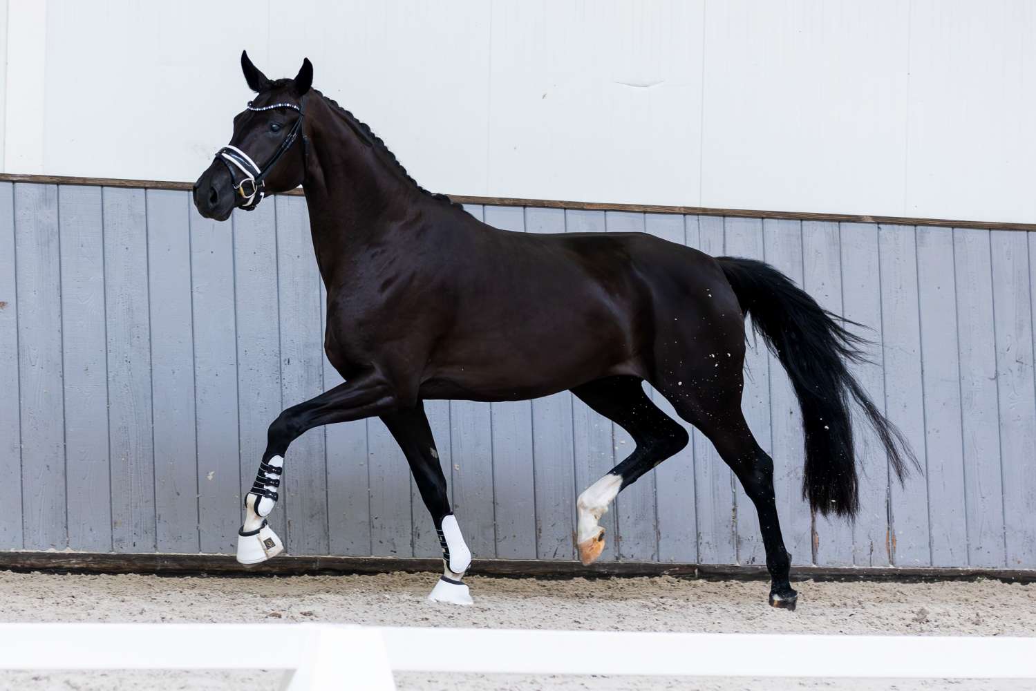 Van Olst Sales | Ready to Dance